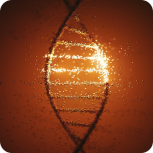 Marrie Simpson | Functional Medicine